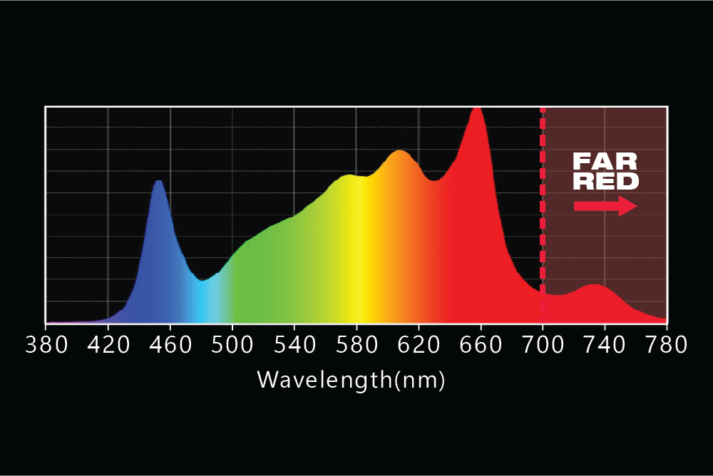 Illuminating the Impact of Far Red Light on Plant Growth – Horticulture ...