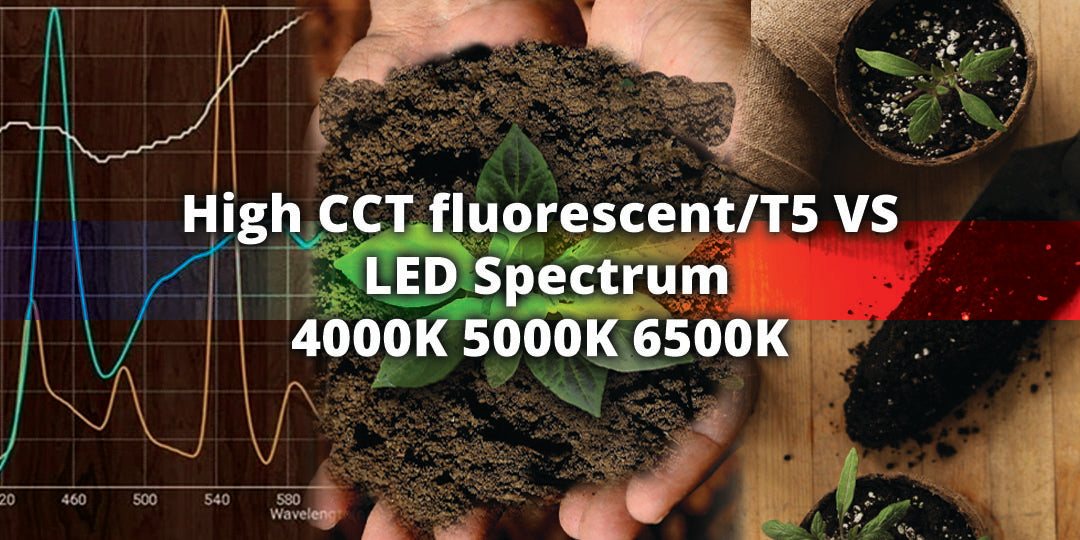 High CCT fluorescent/T5 VS LED Spectrum 4000K 5000K 6500K ...